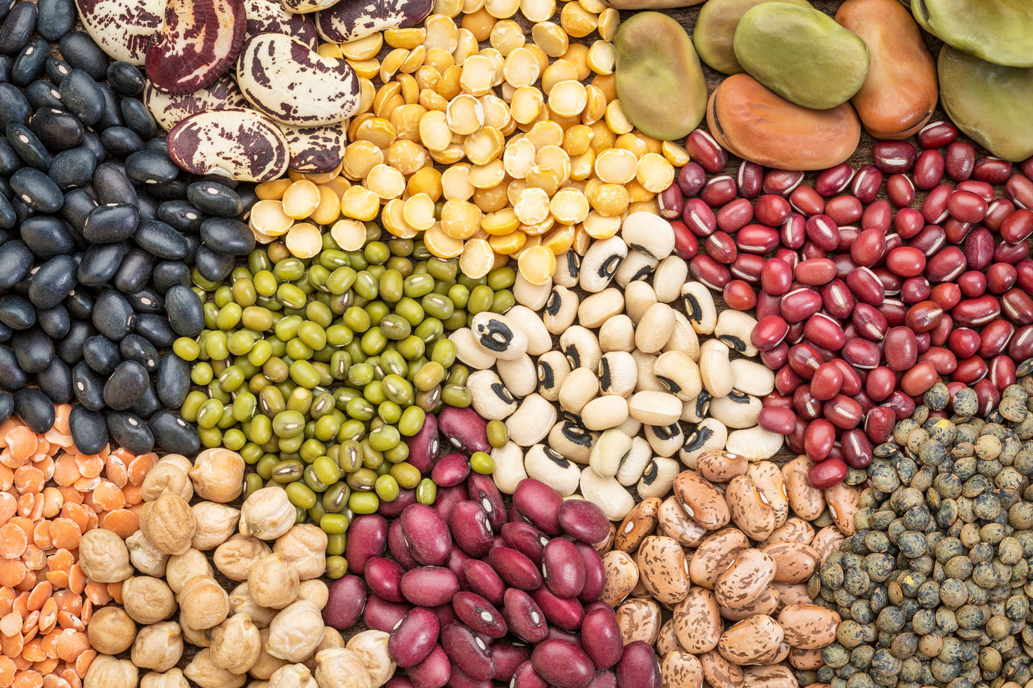 Beans: 5 reasons to eat them | The Doctor's Kitchen