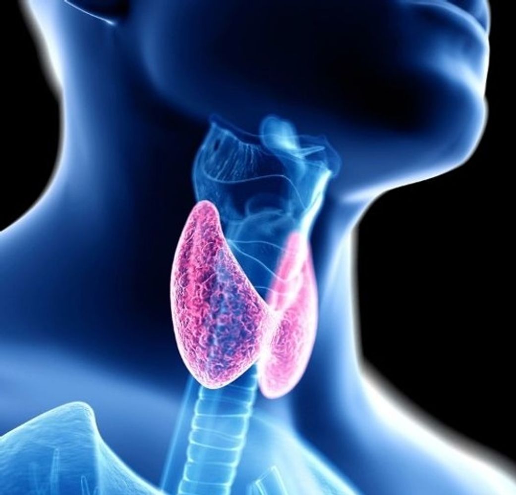 Thyroid Disease | The Doctor's Kitchen